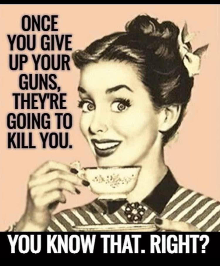 Once you give up your guns - Government Gun Control